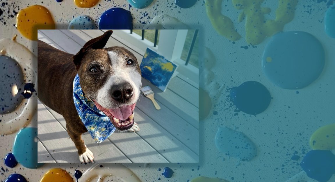 Bay Woof - Community Supported Dog News with Bite