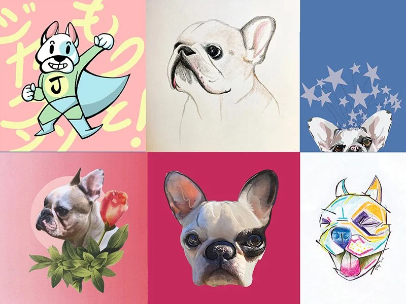 Jackson, the Four-legged Muse — BAY WOOF