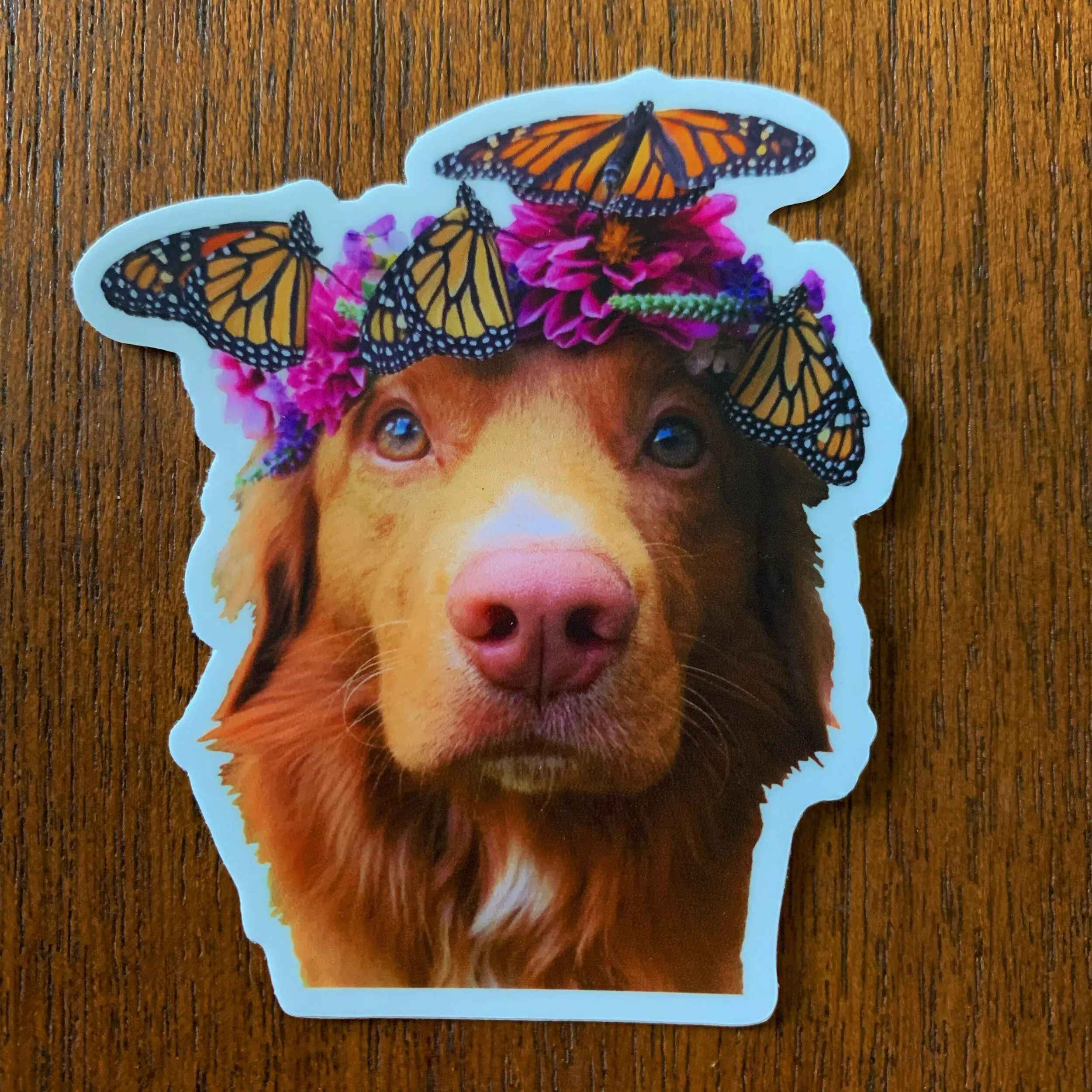 Shop — Milo The Toller