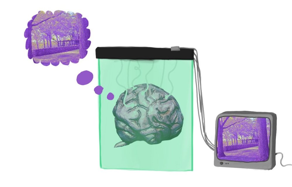 The Brain-Computer Debate: Is the Human Brain Like a Computer? — Grey ...