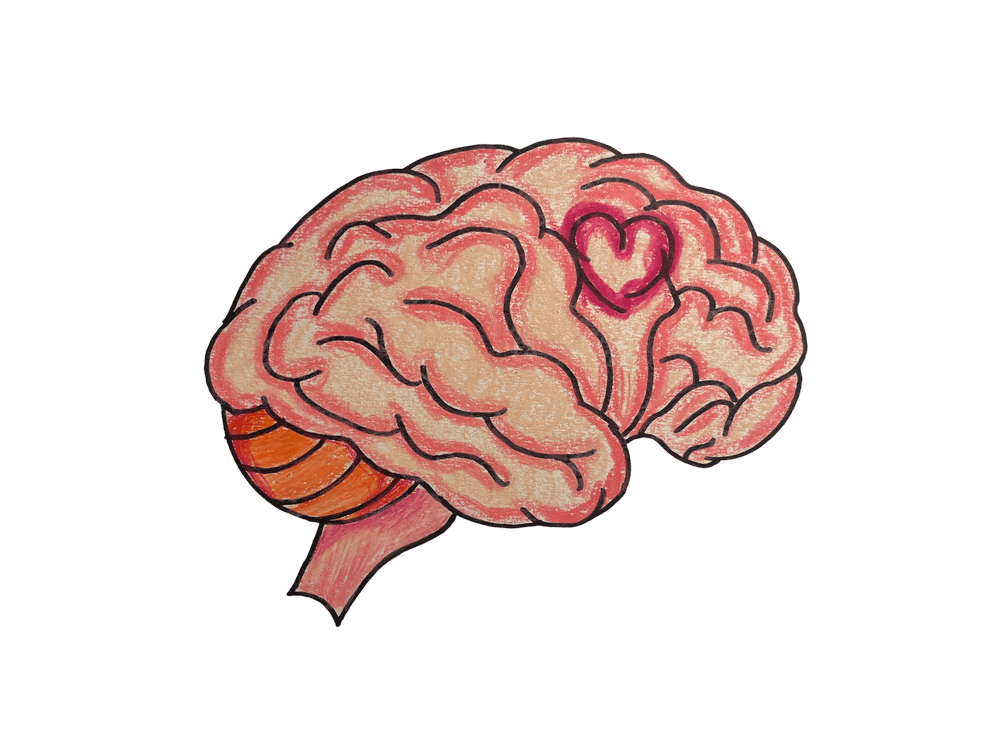 Love on the Brain: The Science of Lust, Attraction, and Attachment ...