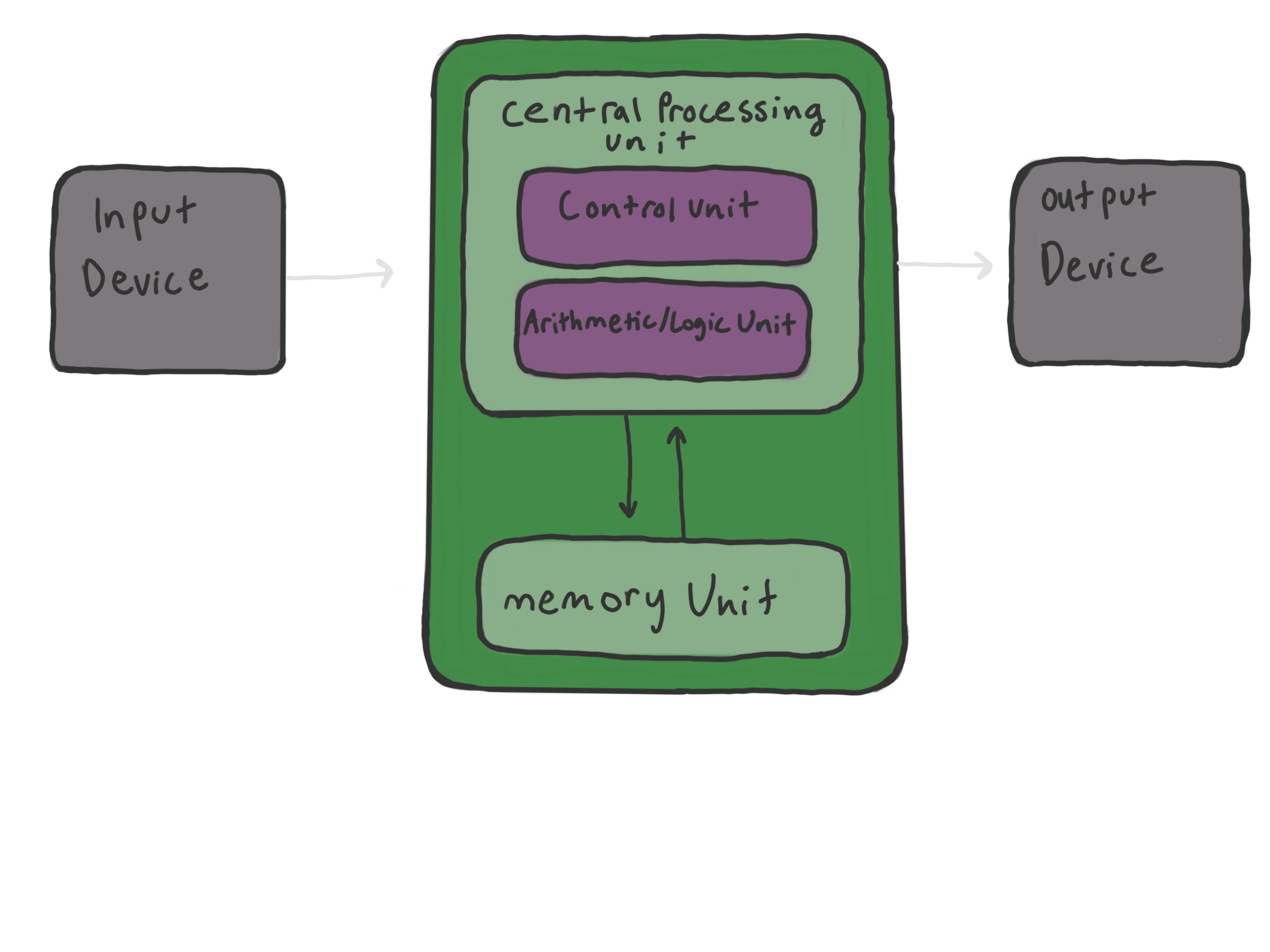 The Brain-Computer Debate: Is the Human Brain Like a Computer? — Grey ...