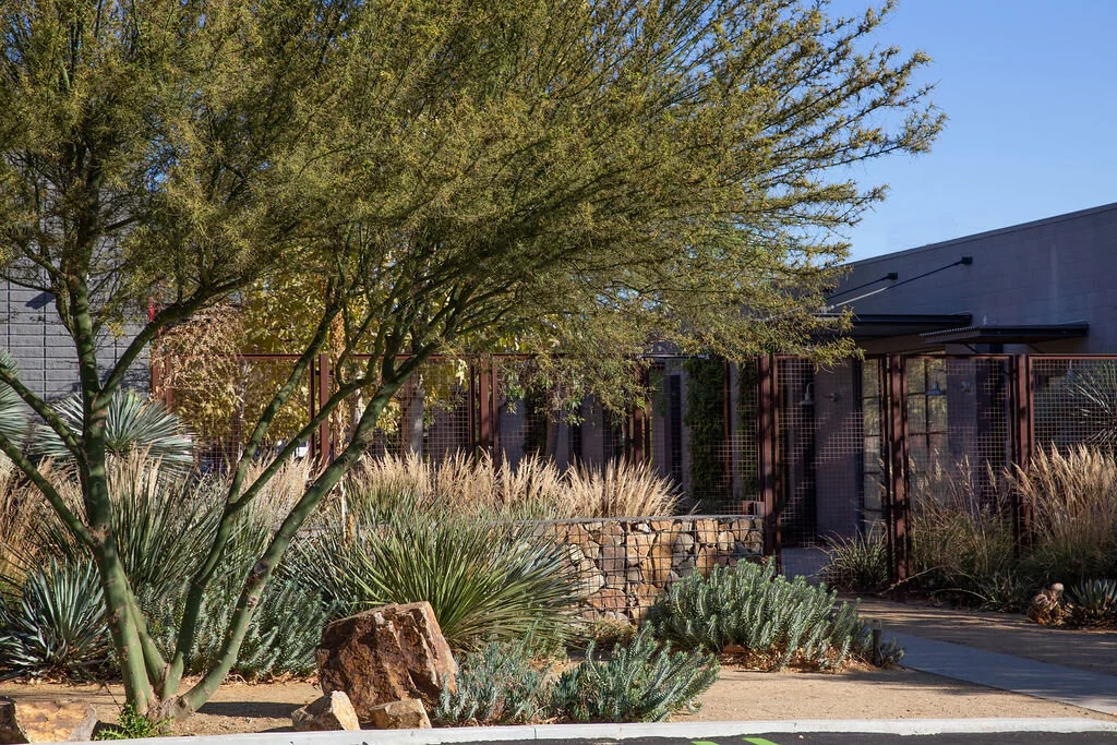 Bosky Landscape Architecture