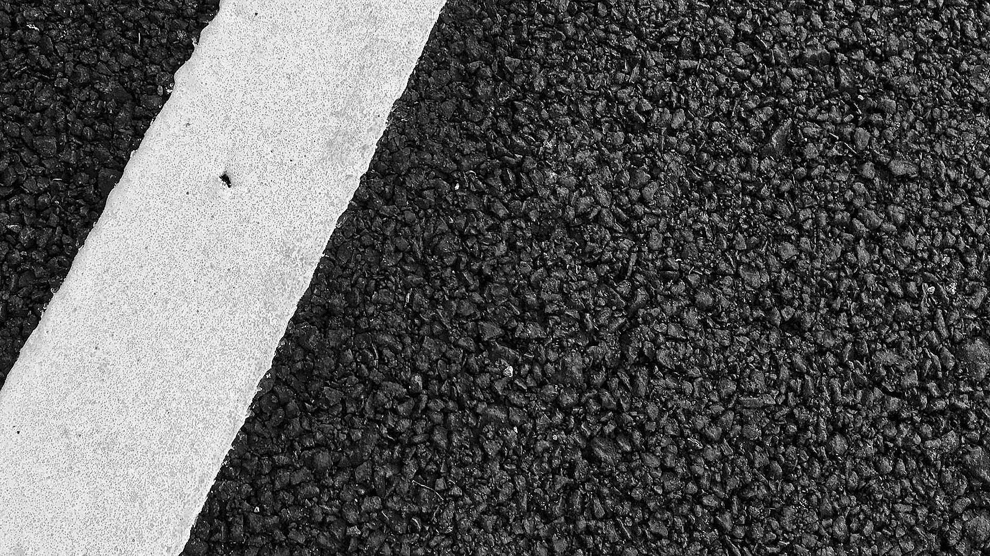 Auckland Traffic Management Services | Absolute Traffic
