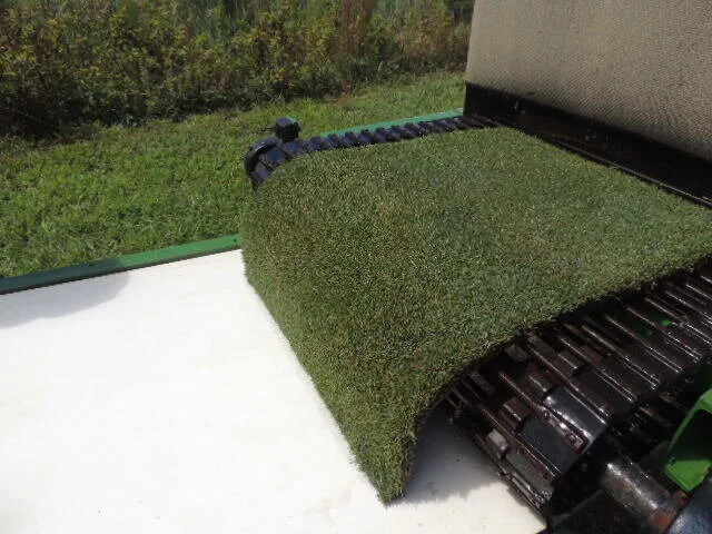 Bentgrass Washing — Collins Wharf Sod