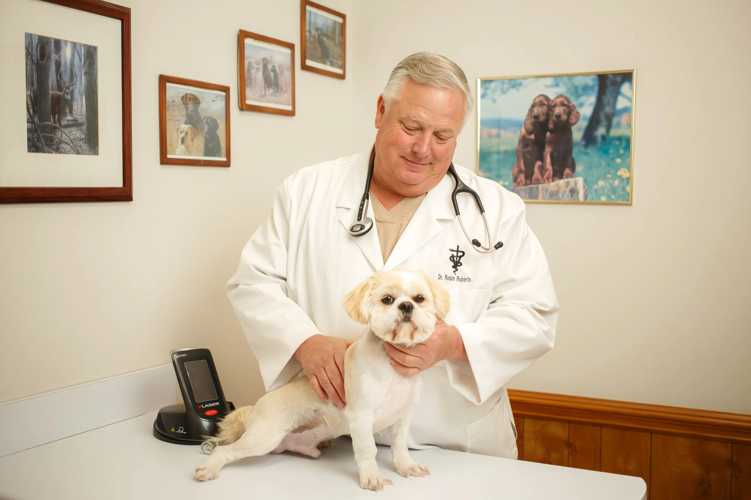 Cats, Cows, and Elephants, Oh My! — 78 Magazine