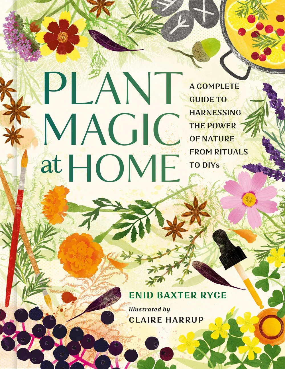 Making Paints from Flowers — Enid Baxter Ryce