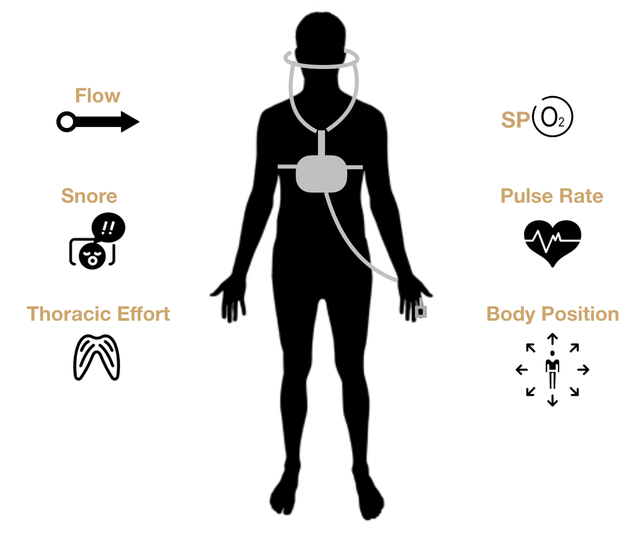 CPAP Trials & Rentals