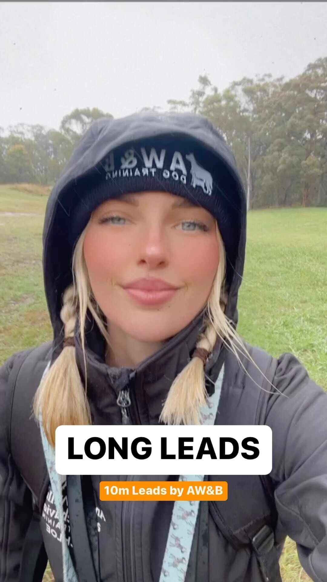 Animal Wellness and Behaviour - dog training