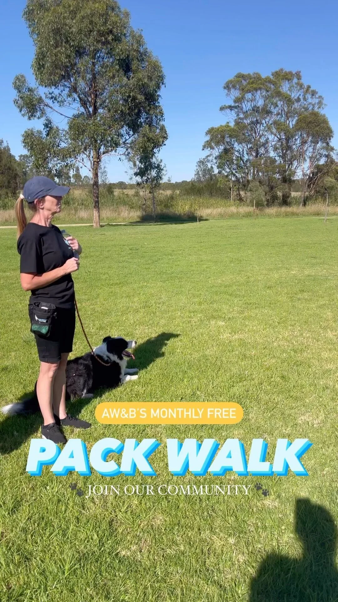 Animal Wellness and Behaviour - dog training