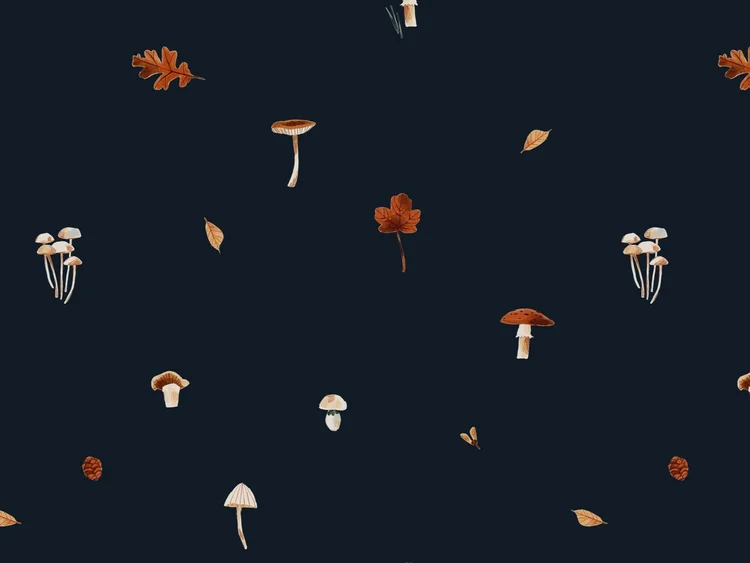 patterns — Elena Comte