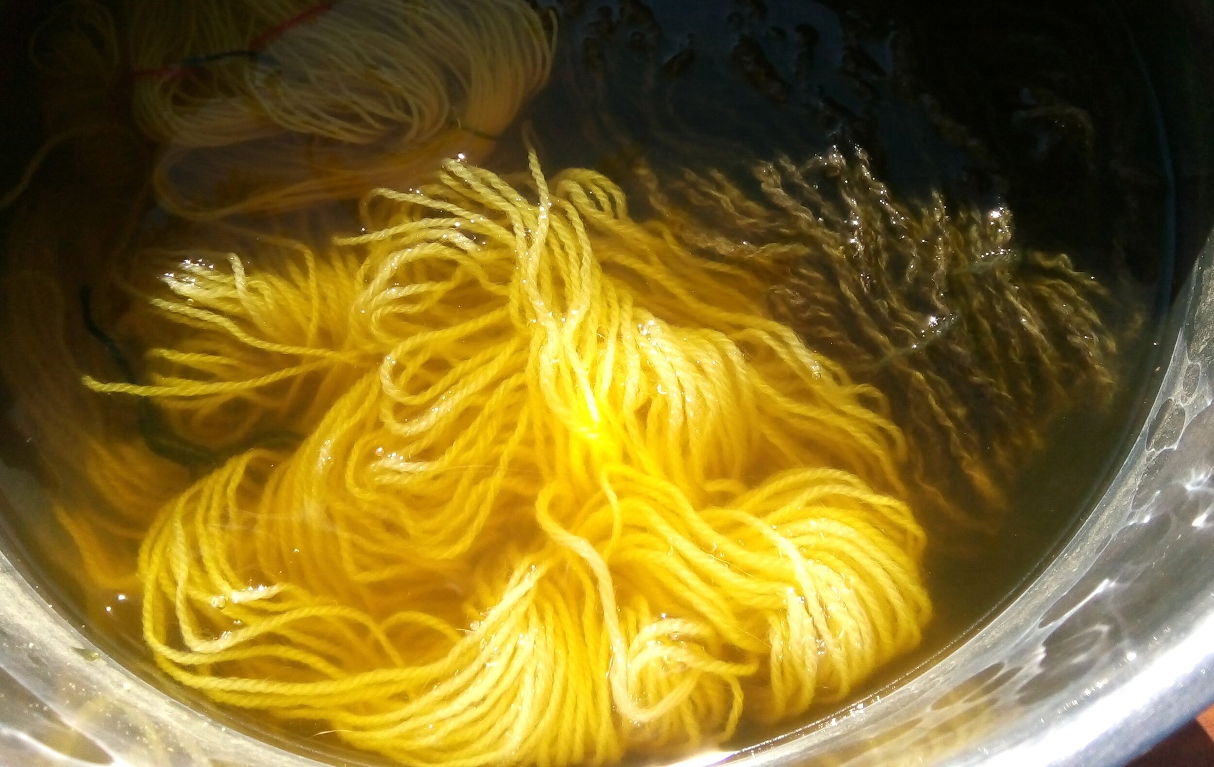 A guide to making your own natural dyes from plants in your garden ...