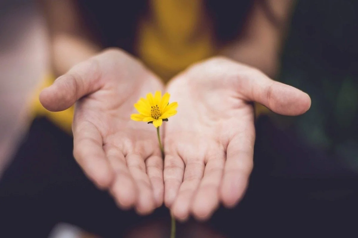 10 Powerful Morning Affirmations for Mindfulness for You to Start Right ...