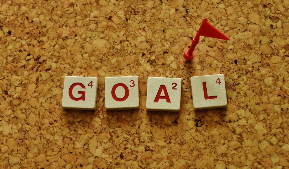 19 Important Reasons Why You Should be Setting Goals for Yourself Now I ...