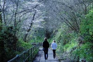 17 Powerful Ways For How to Cope With Turning 50 When You are Feeling ...
