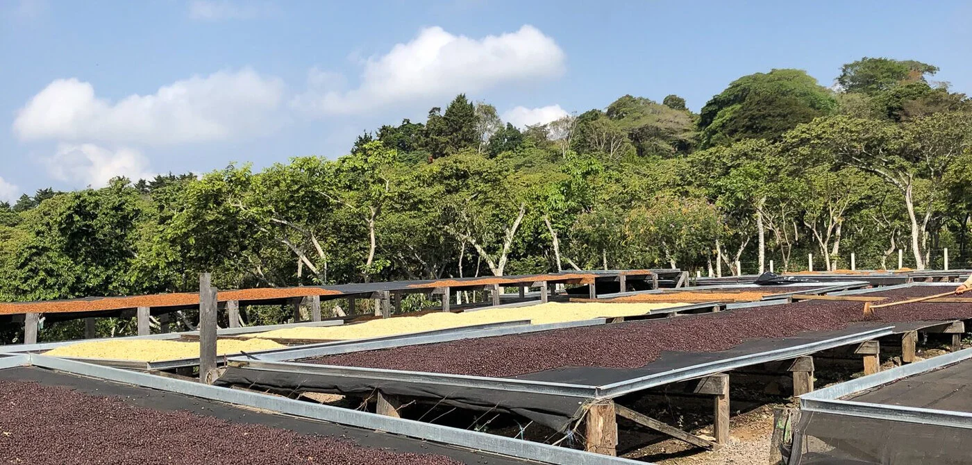 Boxcar Coffee Roasters