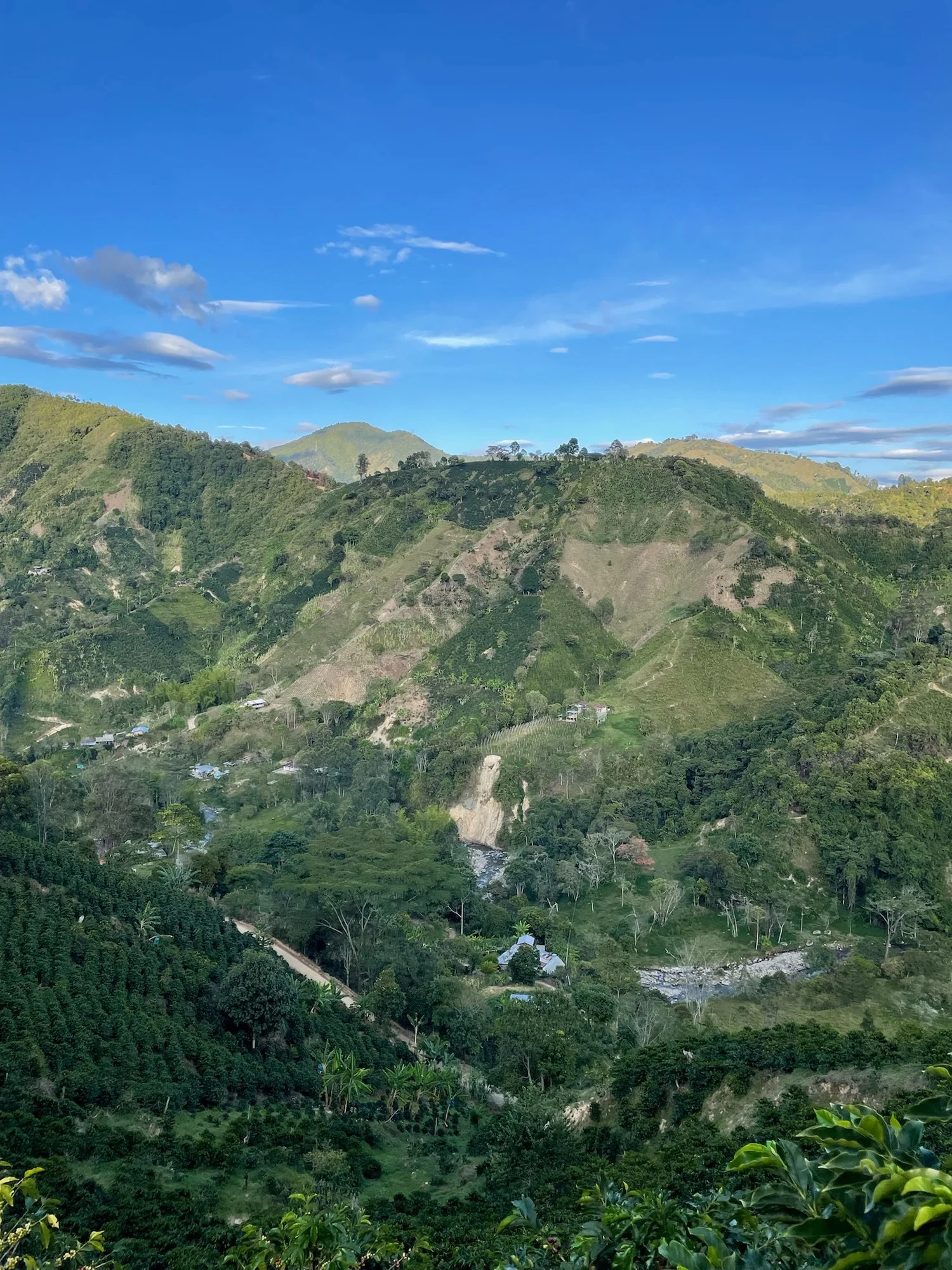 Boxcar Coffee Roasters