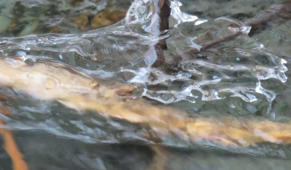 Winter in the North Cascades — Arts & Humanities of Stehekin