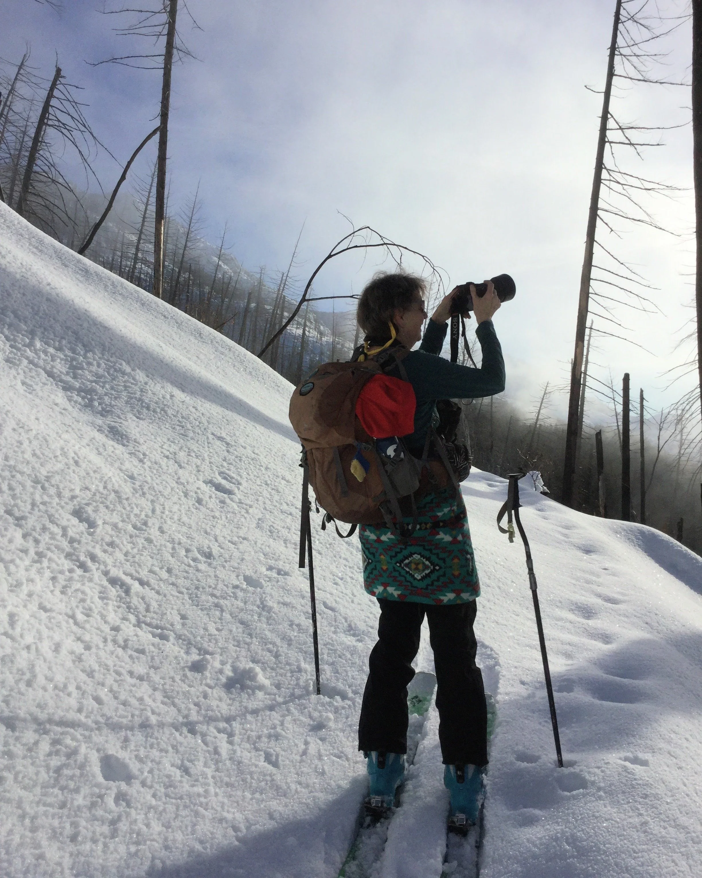 Nancy Barnhart — Arts & Humanities of Stehekin