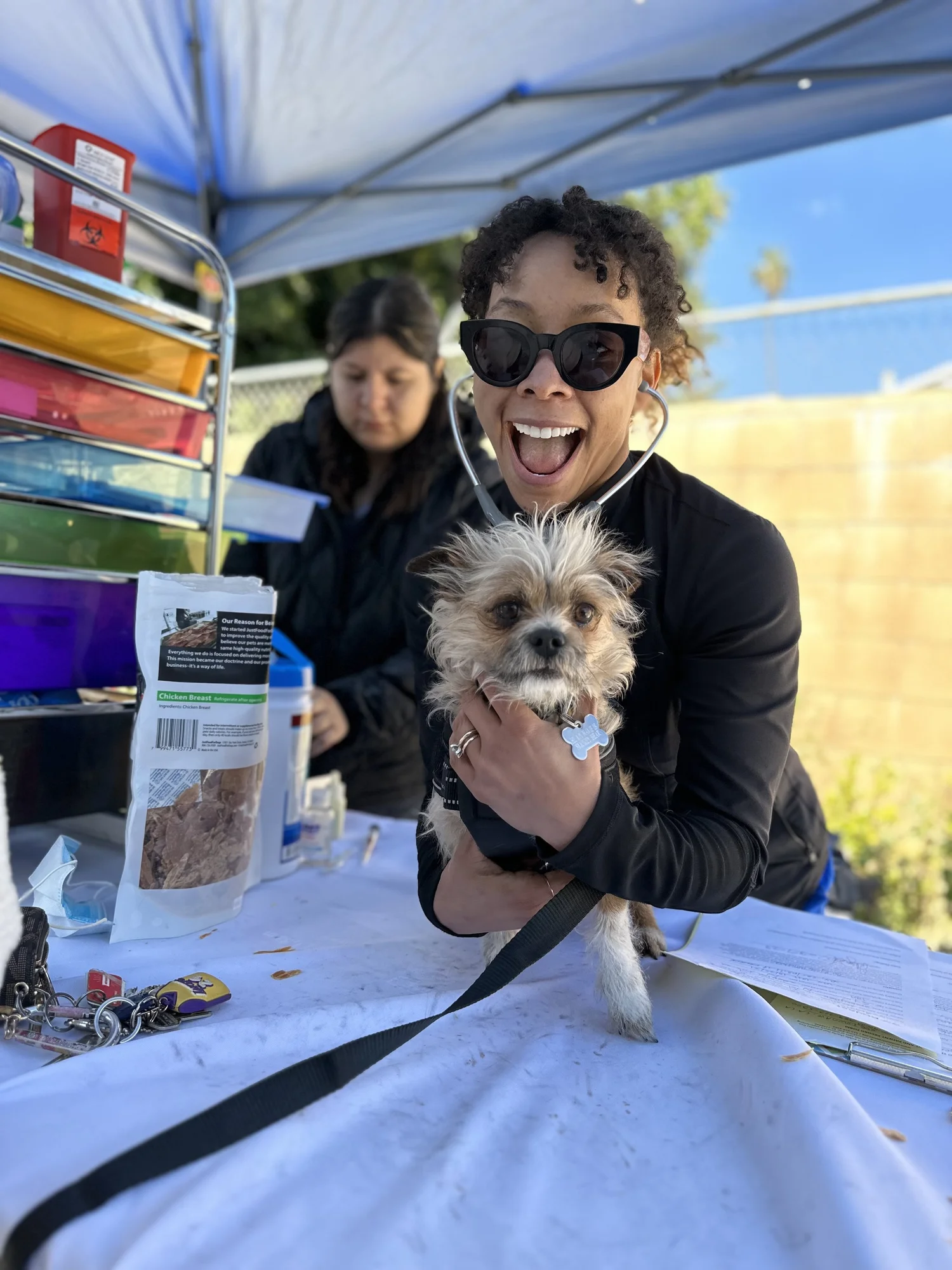 Project Street Vet