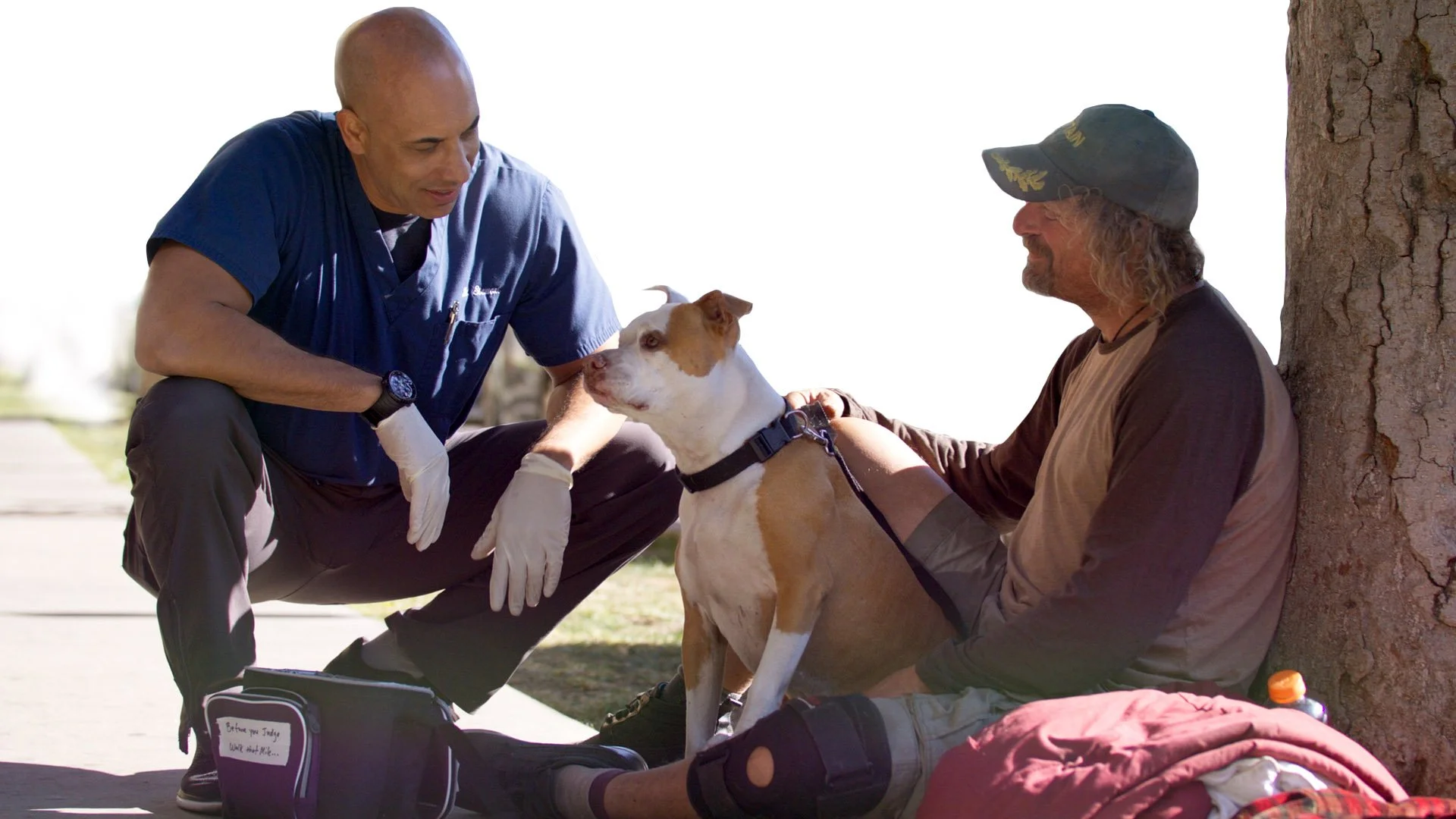 Project Street Vet