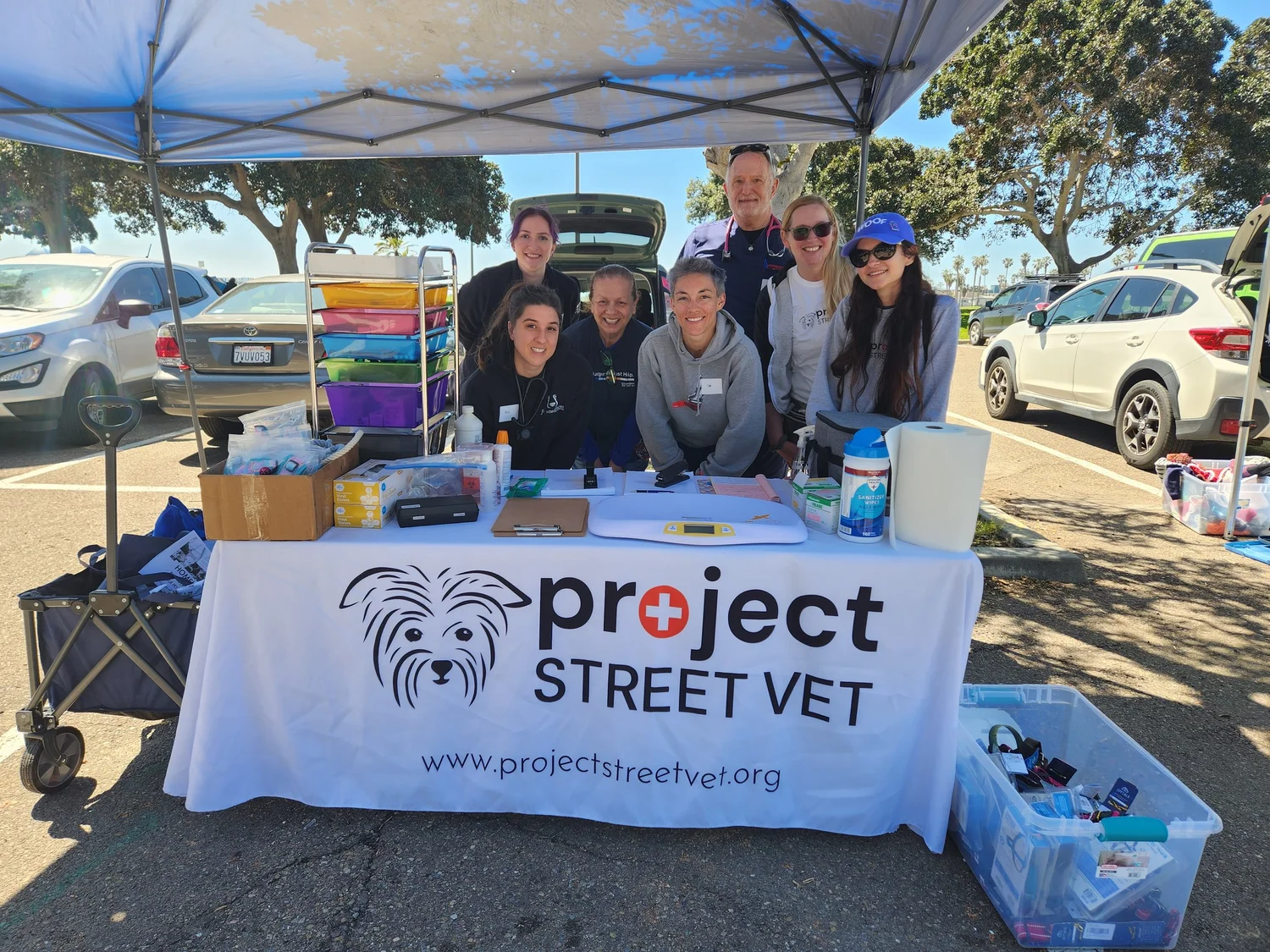 General Volunteer — Project Street Vet