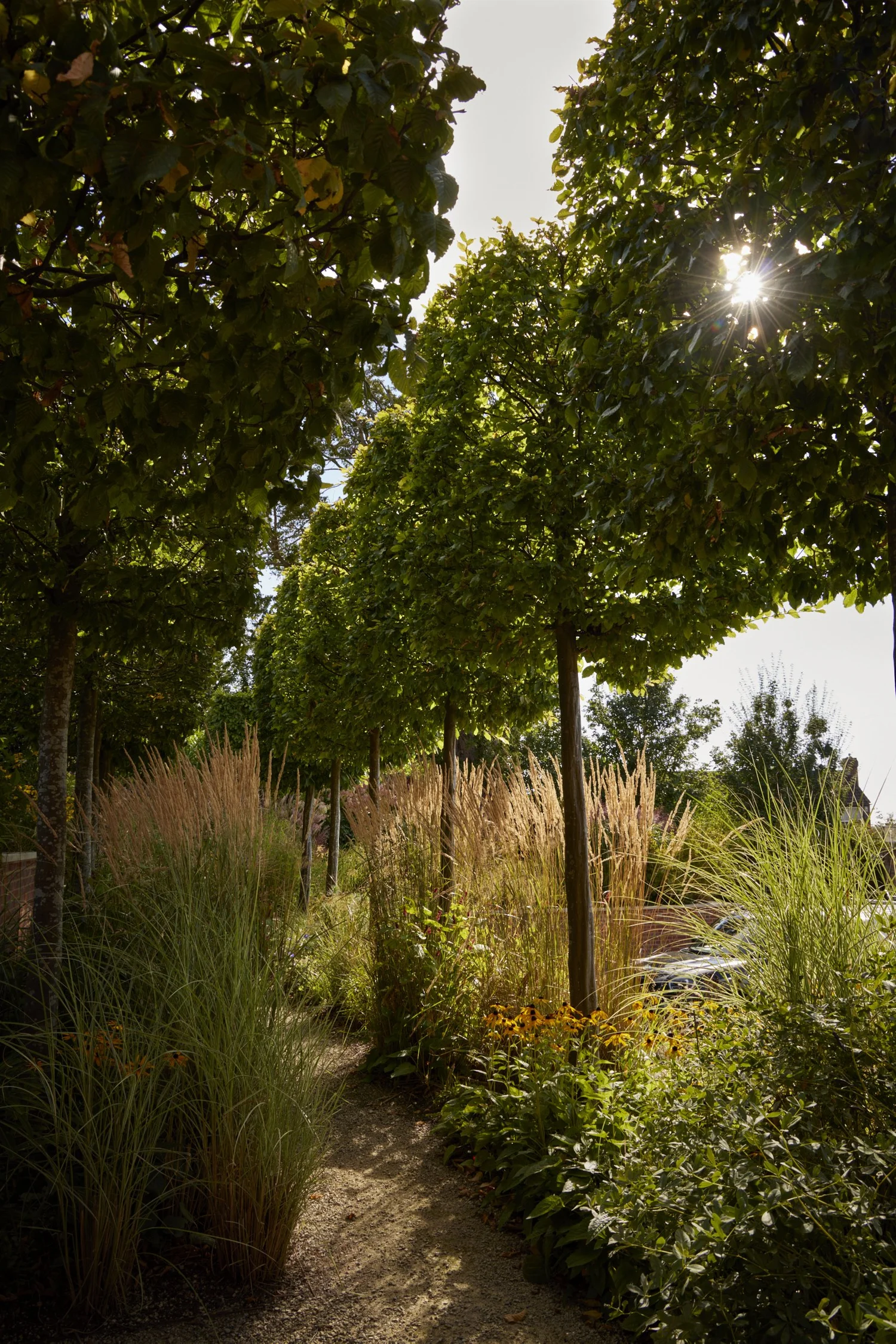 HP26 — ALISTER THORPE