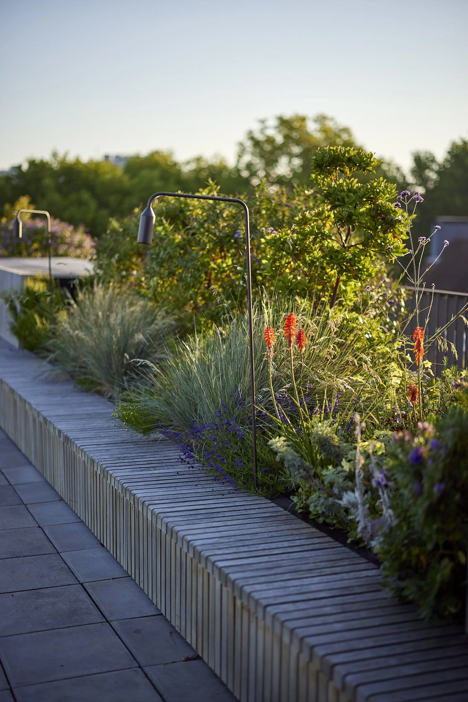 NEWNHAM COLLEGE — ALISTER THORPE