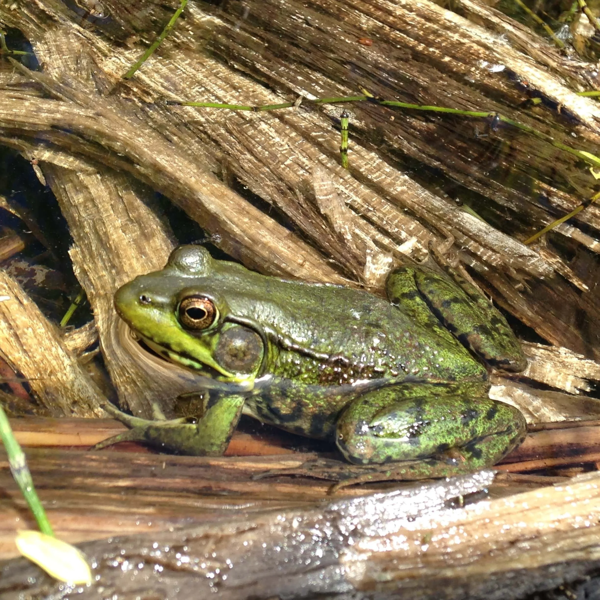 to know the land - Building Relationship And Intimacy With The Land to ...