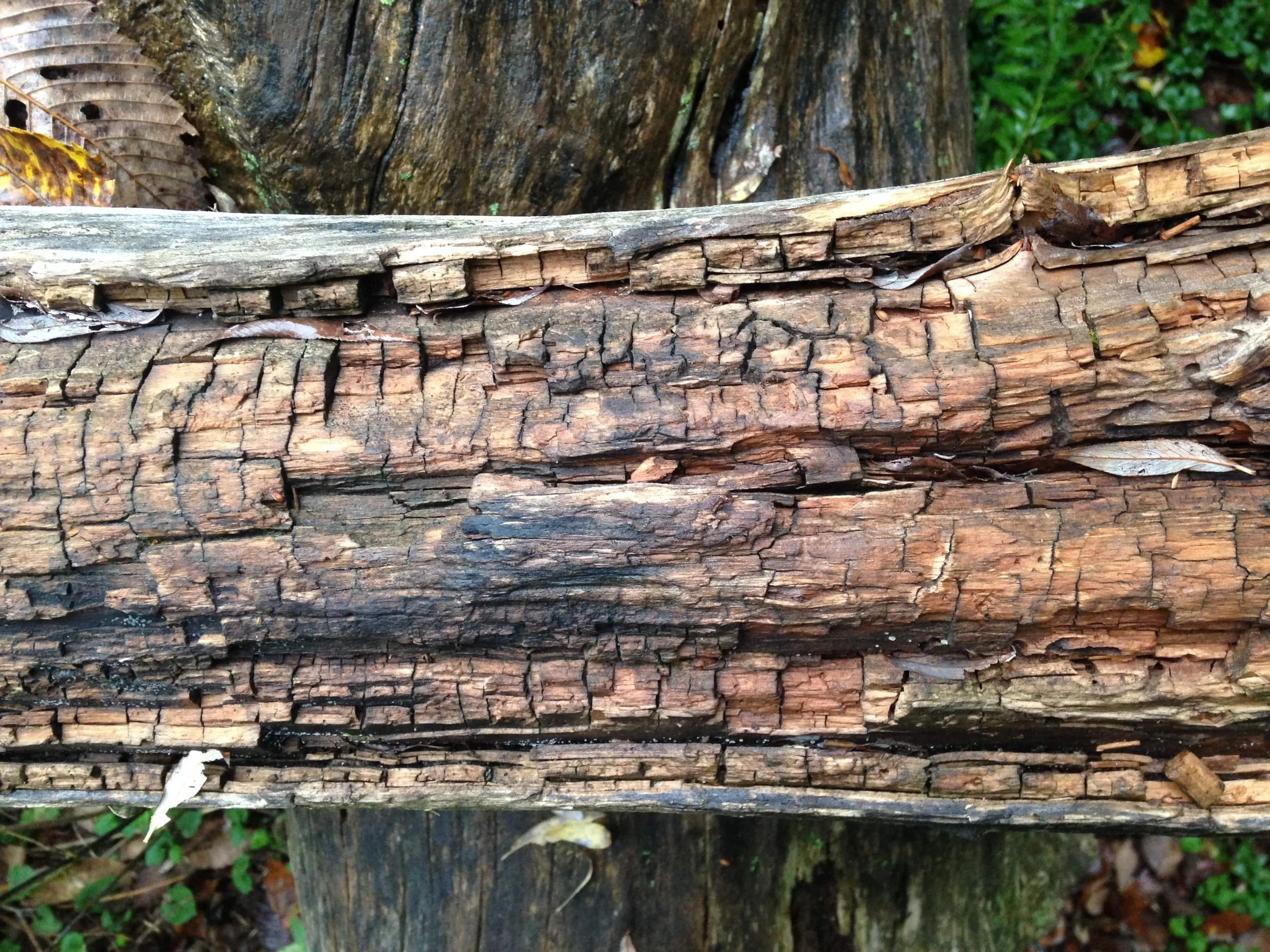 to know the land - Building Relationship And Intimacy With The Land to ...