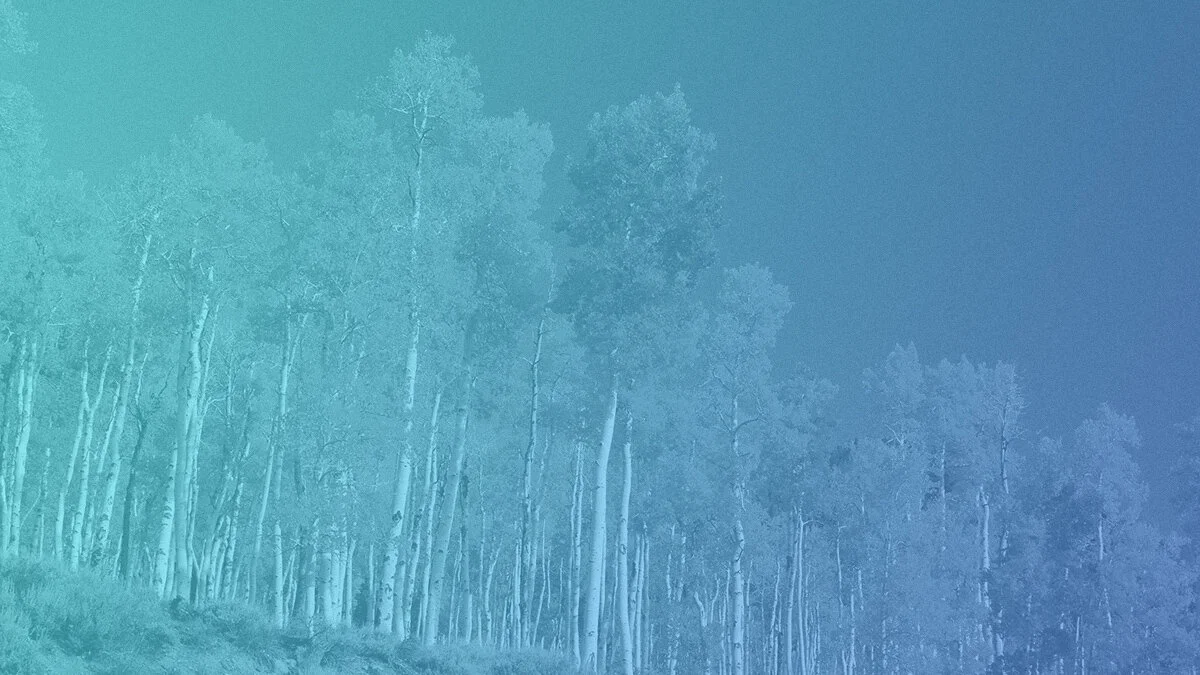 About Us — PandoApp