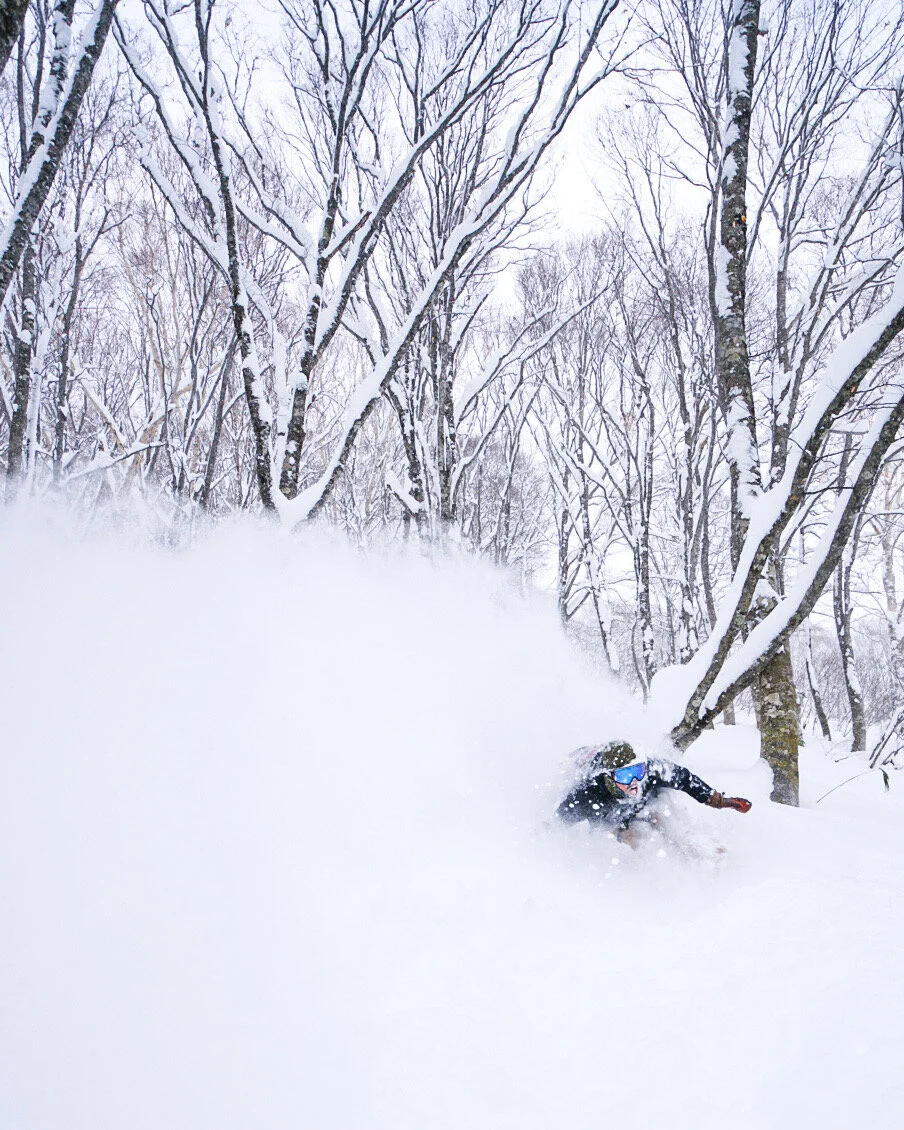 |Snow — Max Djenohan