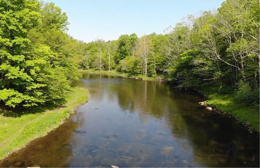Neversink Watershed Management Plan — FUDR