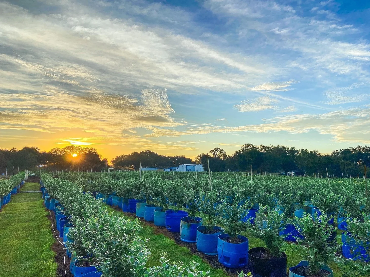 Menu — Keel Farms | Tampa Bay Winery, Brewery and Restaurant