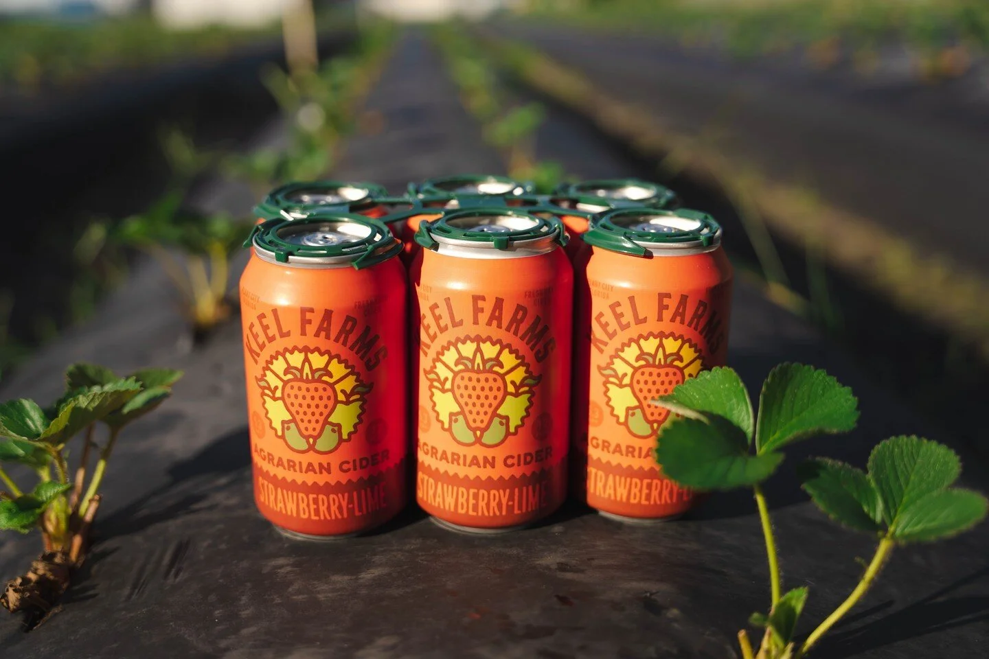 Keel Farms | Tampa Bay Winery, Brewery and Restaurant