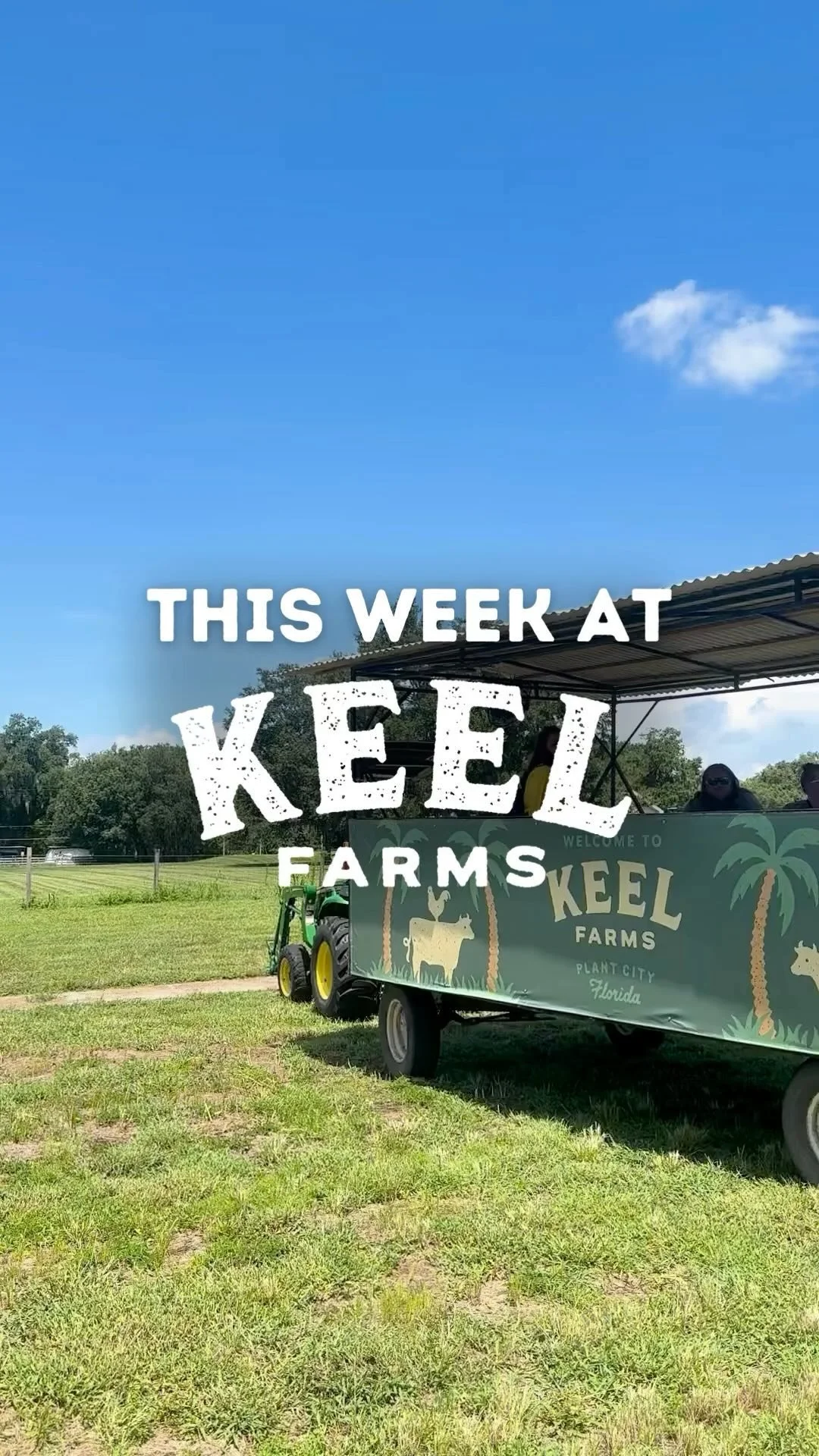 Keel Farms | Tampa Bay Winery, Brewery and Restaurant