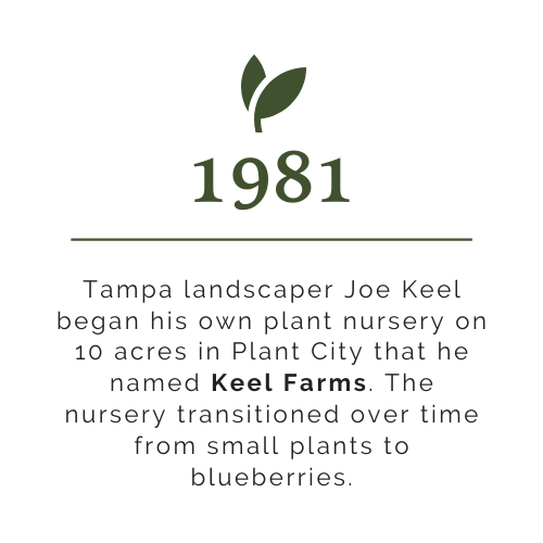 Our Story — Keel Farms | Tampa Bay Winery, Brewery and Restaurant