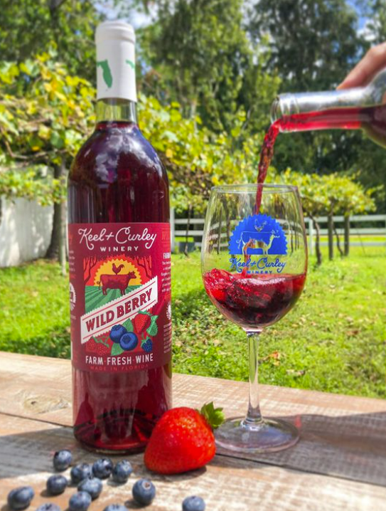 Florida Wild Berry Wine That WOWs Your Tastebuds! — Keel Farms | Tampa ...