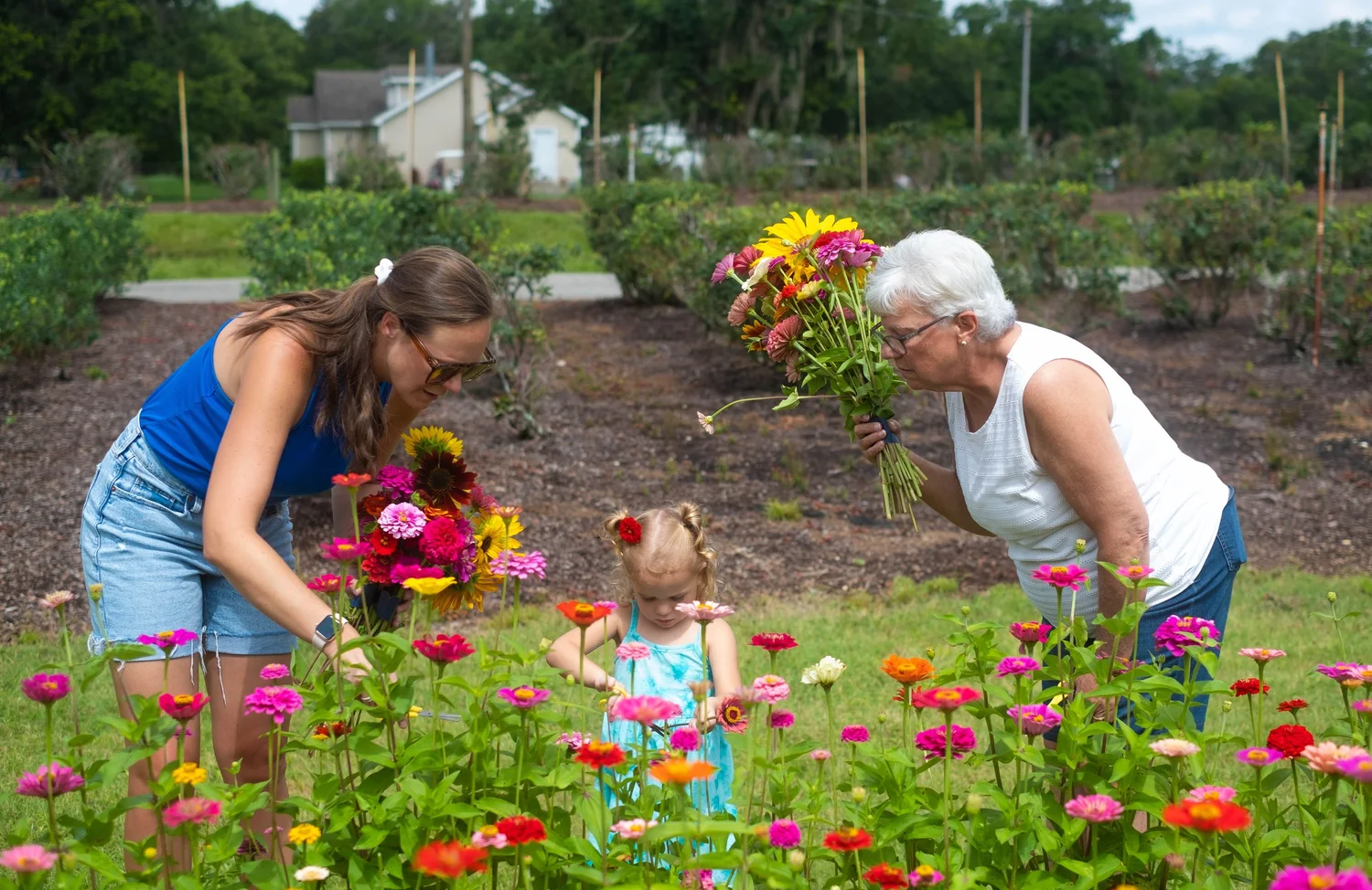 Plan Your Visit — Keel Farms | Tampa Bay Winery, Brewery and Restaurant