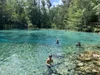 Start Planning Your Tubing Adventure at Ichetucknee Springs State Park ...
