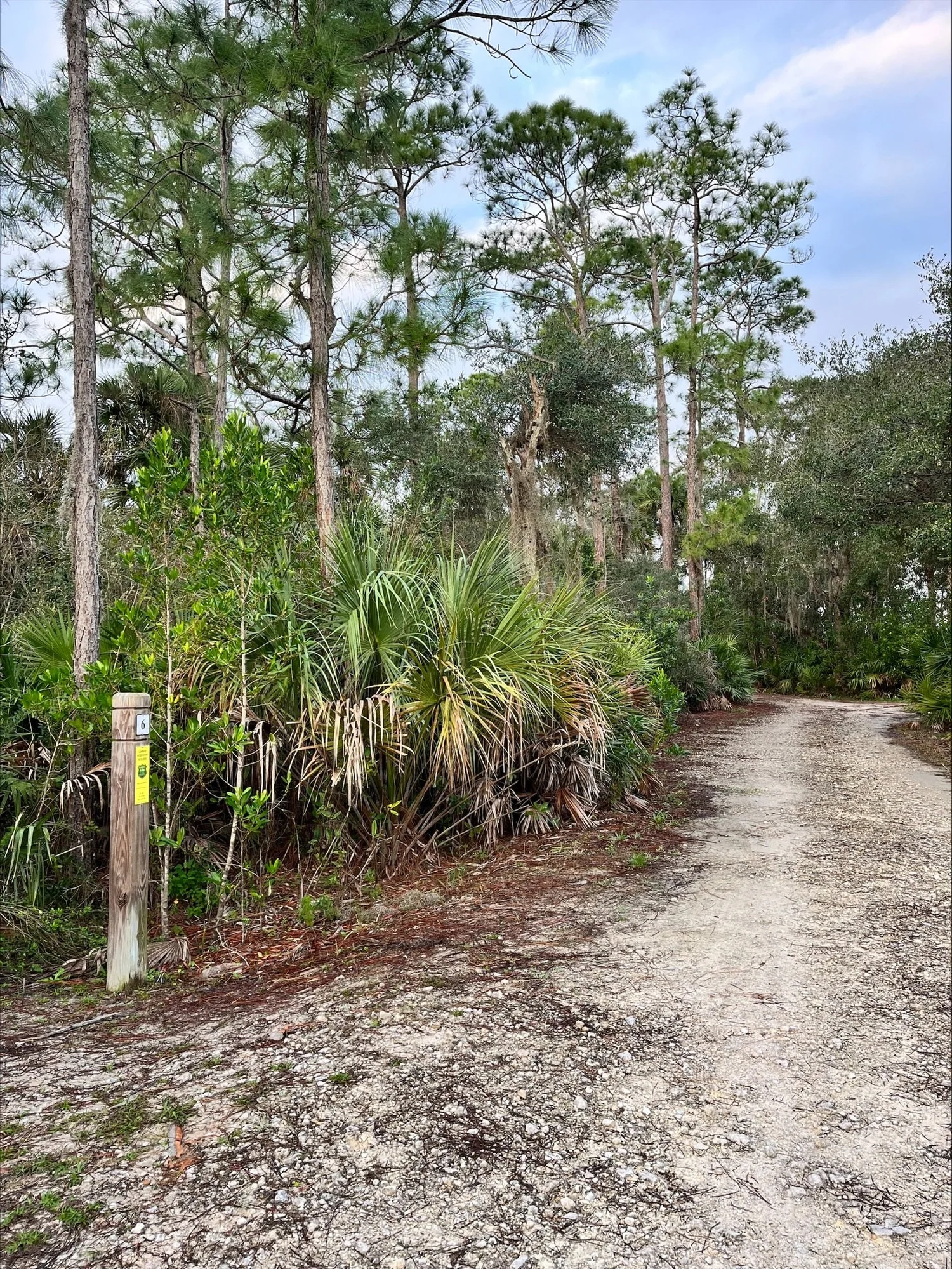 Everglades National Park Tour Guide — Adopting Life's Journey - Family ...