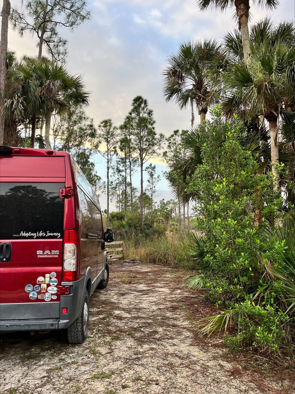 Everglades National Park Tour Guide — Adopting Life's Journey - Family ...