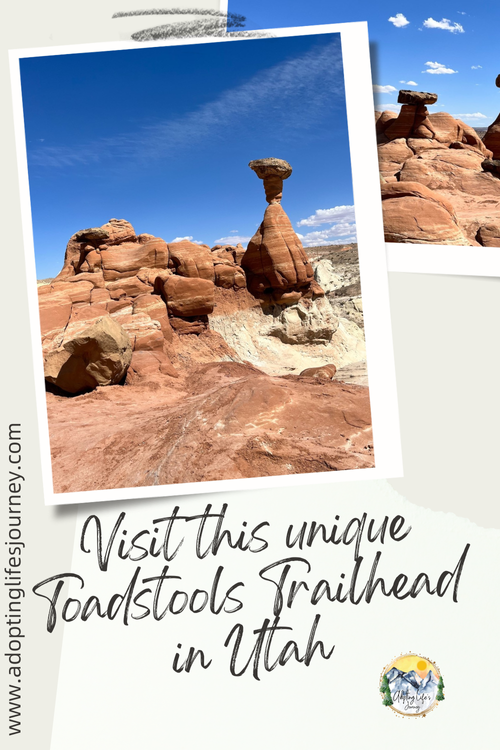 Hike the Iconic Toadstools Trailhead in Utah — Adopting Life's Journey ...