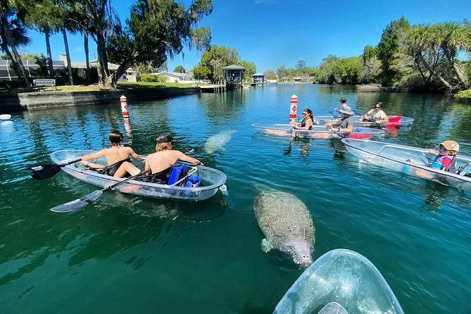 Kayaking Crystal River to Three Sisters Springs — Adopting Life's ...