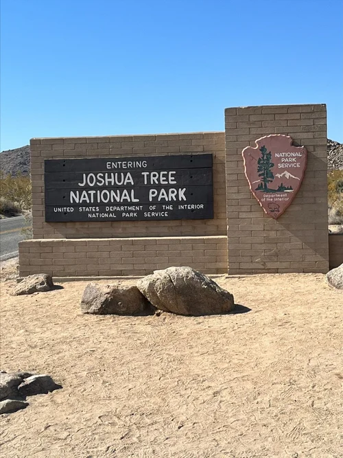 Exploring Joshua Tree National Park’s Scenic Trails and Top Camping ...