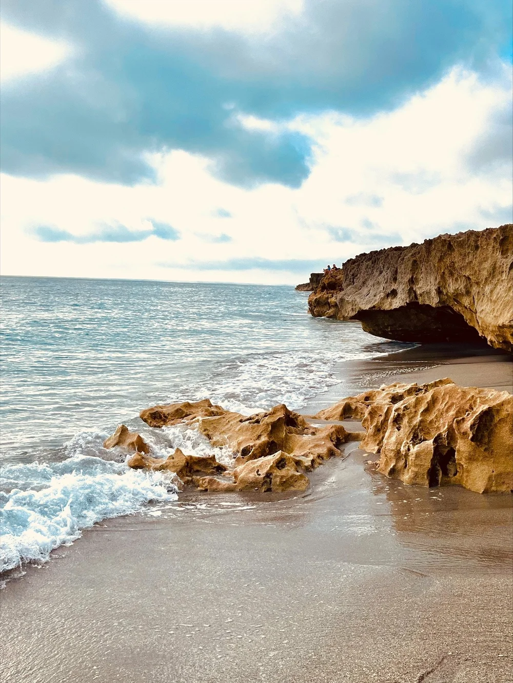 Magnificent Ocean Views, Blowing Rocks Preserve, and Mouthwatering ...