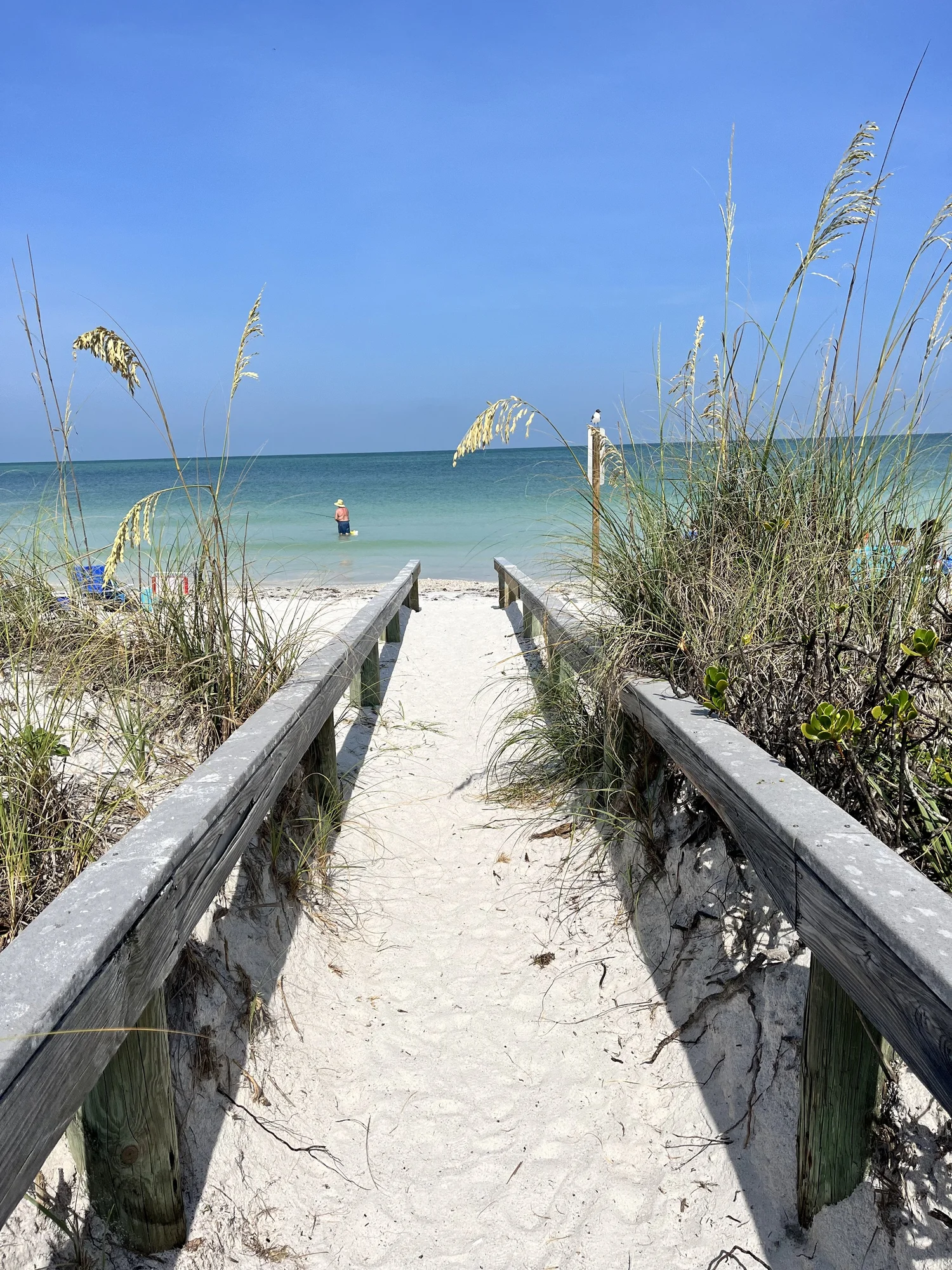Seashells and Sunsets: Unwind at Pass-a-Grille Beach, Florida ...