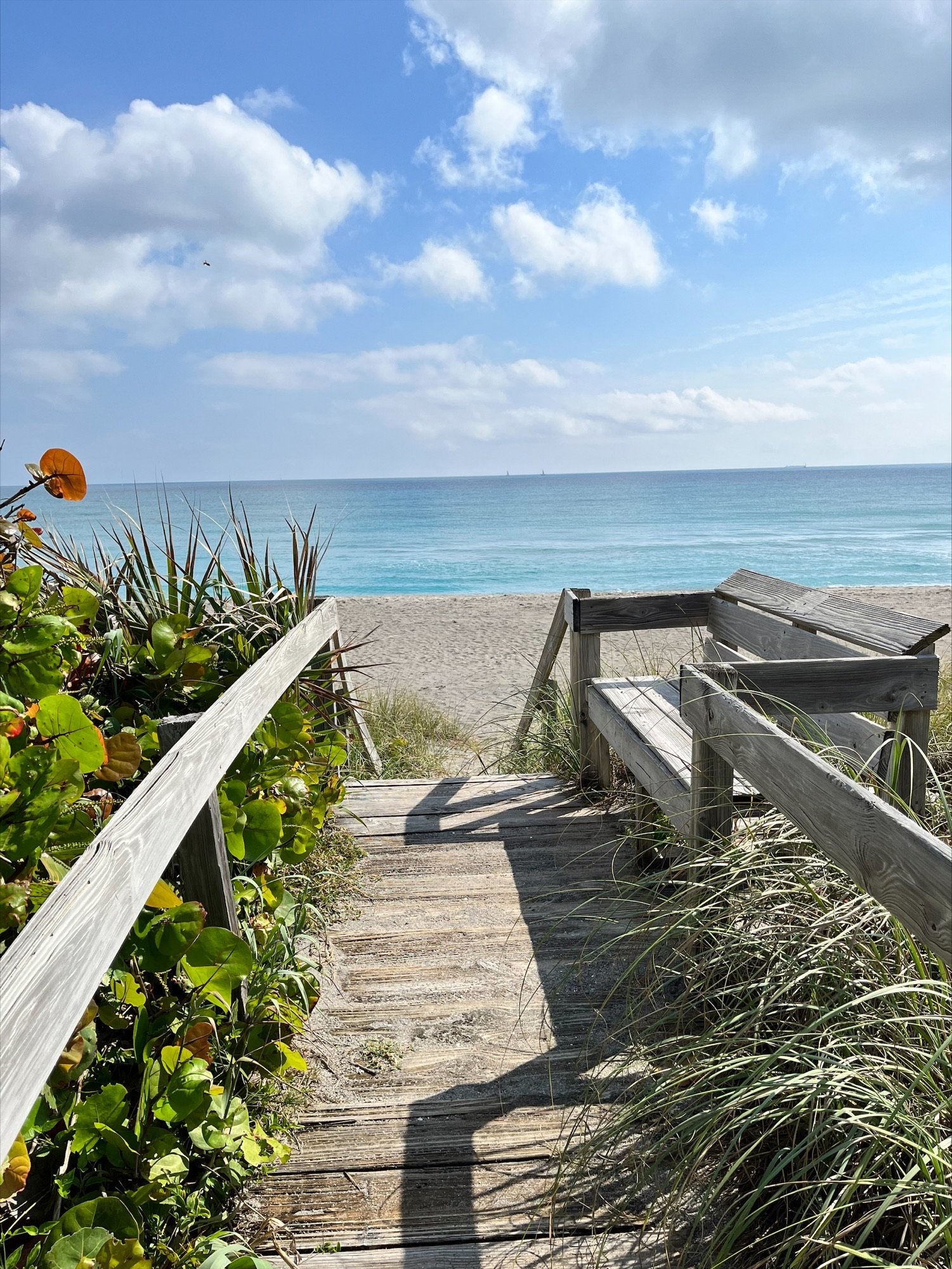 Magnificent Ocean Views, Blowing Rocks Preserve, and Mouthwatering ...