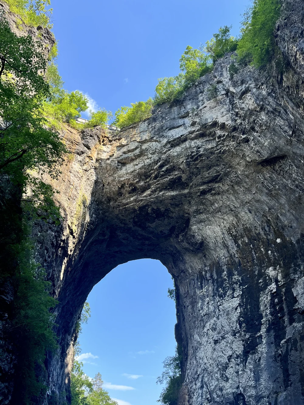 Find History And Beauty At Natural Bridge State Park In Virginia