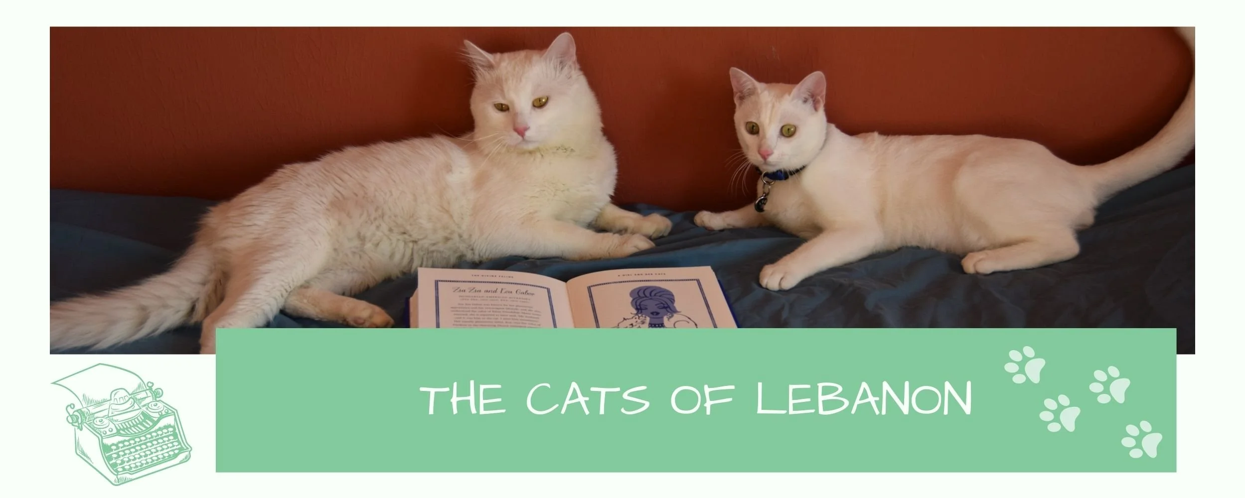 BLOG: The Cats of Lebanon — Belinda Alexandra